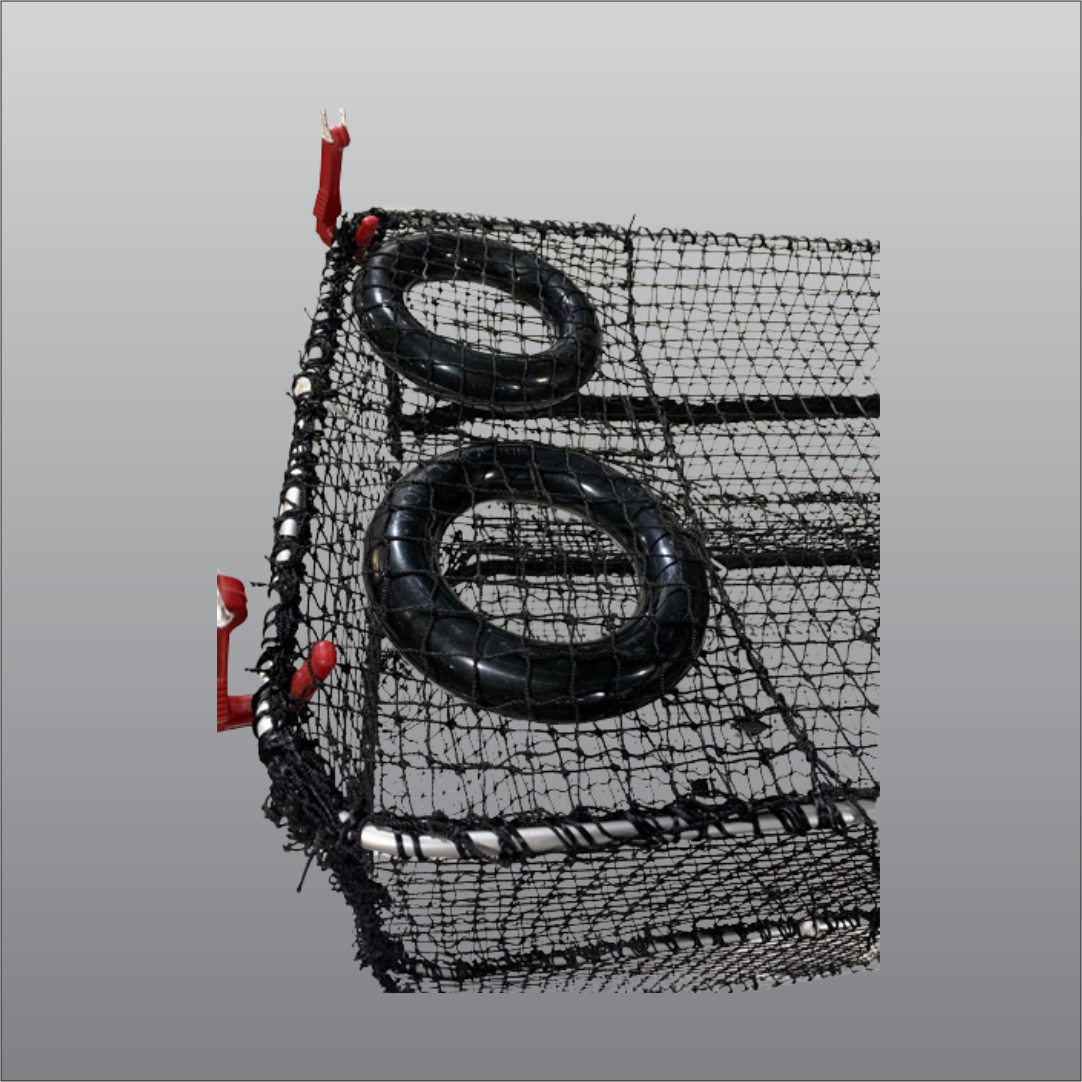 Fisketeine medium – Kystfangst